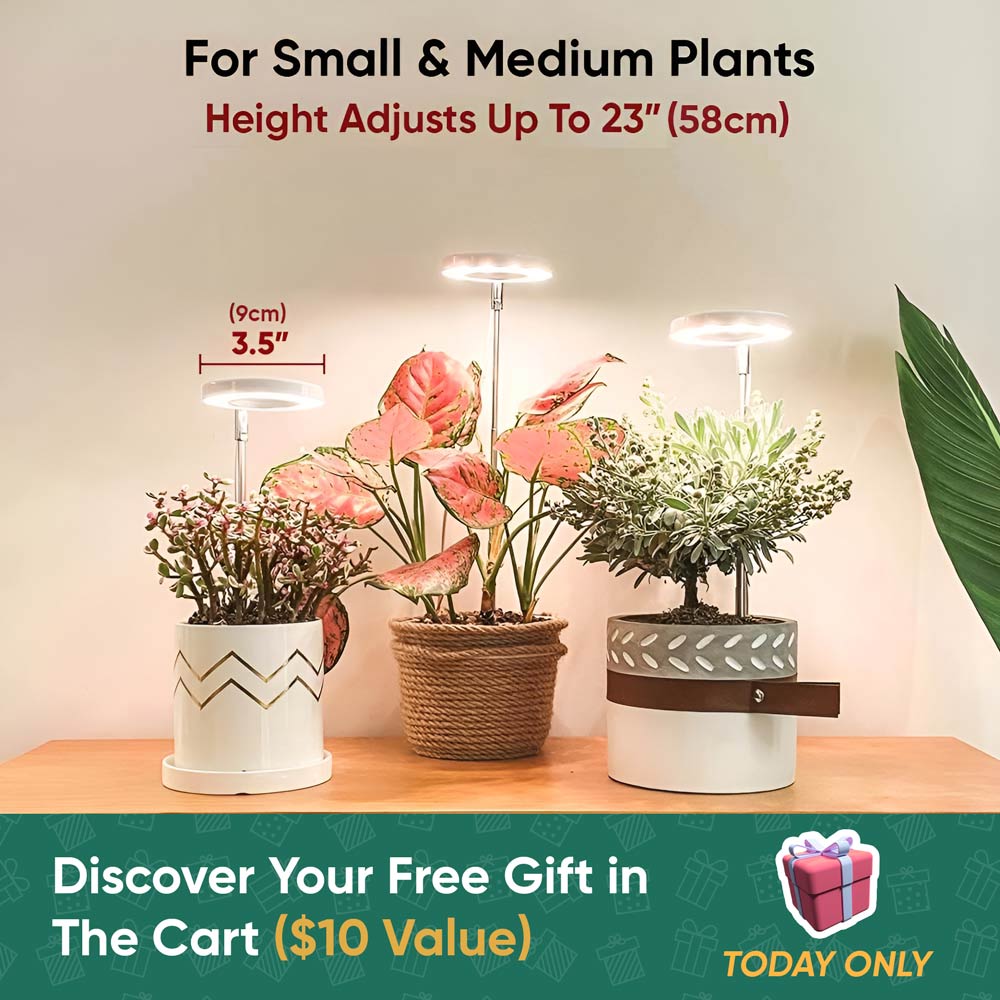 ThriveBeam Grow Light - Bring The Sun's Growth Energy Home – Thrive Beam