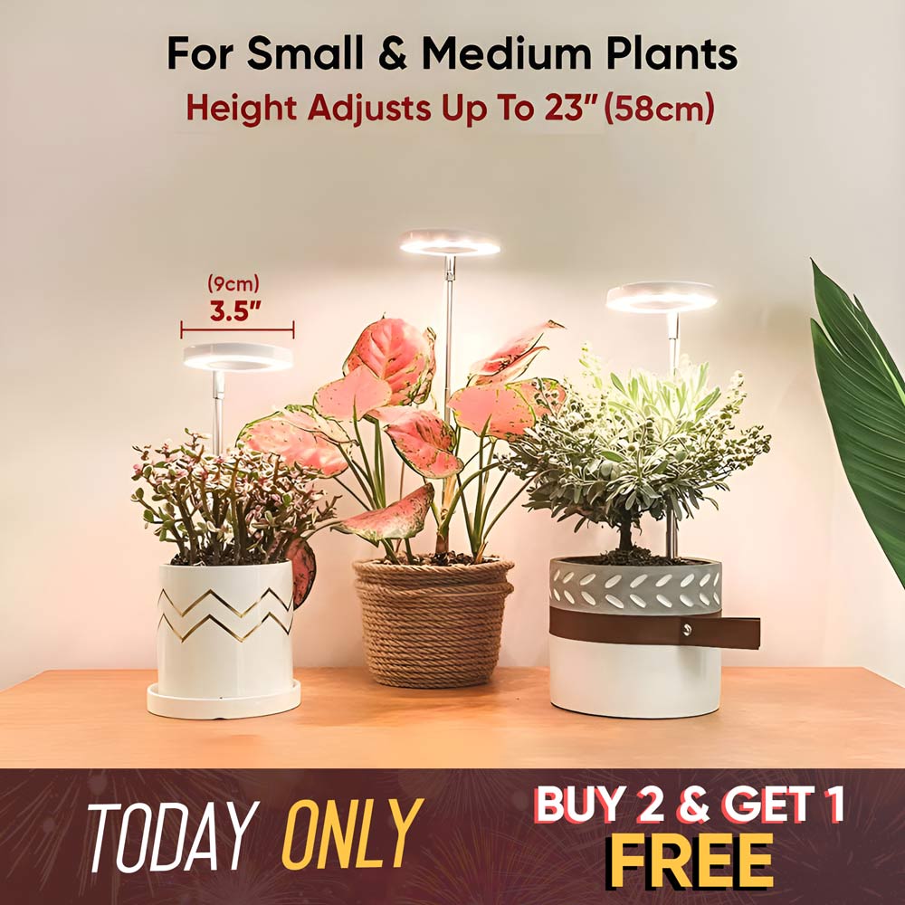ThriveBeam Grow Light - Bring The Sun's Growth Energy Home – Thrive Beam